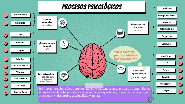 Infografía Procesos Psicológicos | Genially