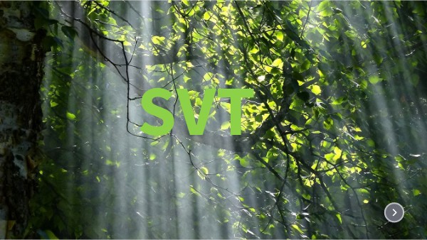 Svt