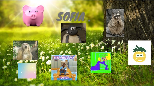 sofia