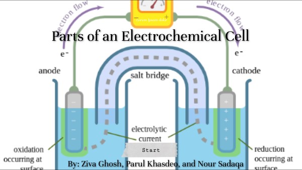 Parts of an Electrochemical Cell