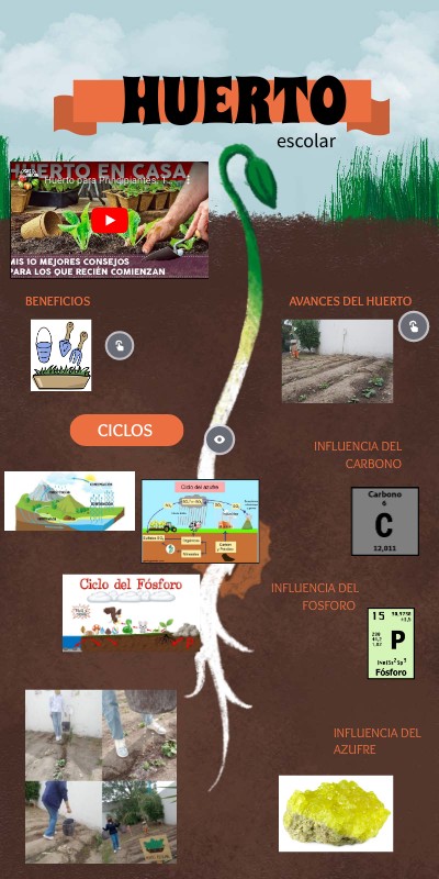 SEED LIST | Genially