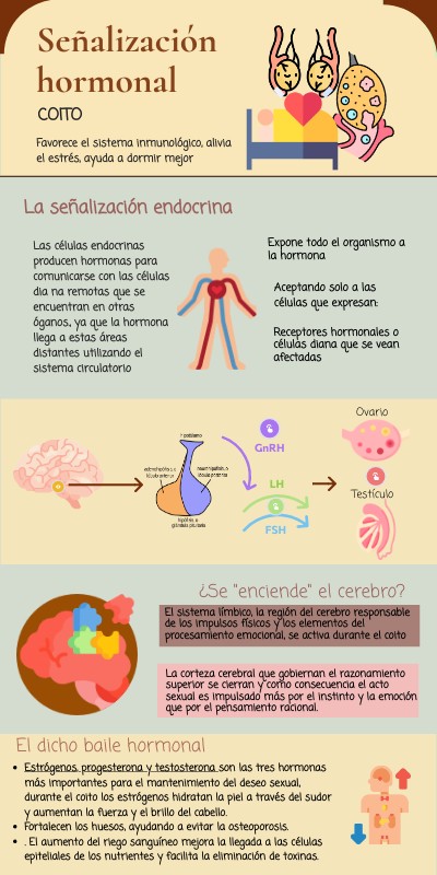 INFO ART NOUVEAU | Genially