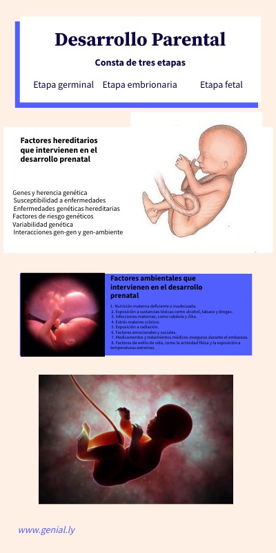 Infografía Interactiva Básica | Genially