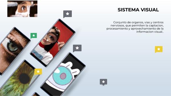 Infografía sistema auditivo y visual | Genially