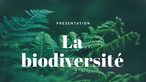 NATURE PRESENTATION