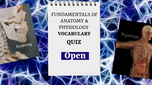 anatomy terms game | Genially