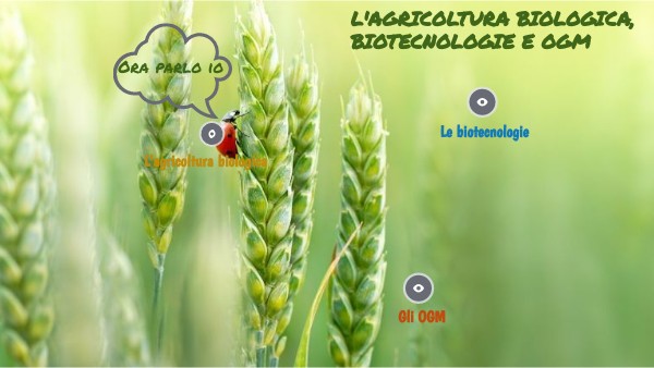 AGRICOLTURA BIOLOGICA, BIOTECNOLOGIE E OGM | Genially