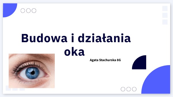 BUDOWA OKA | Genially