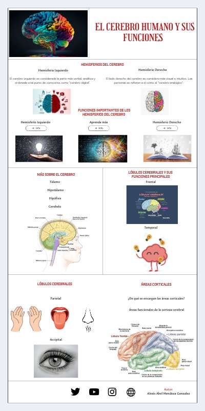 Estructura y Funciones del Cerebro | Genially