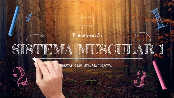 músculos torácicos perro | Genially