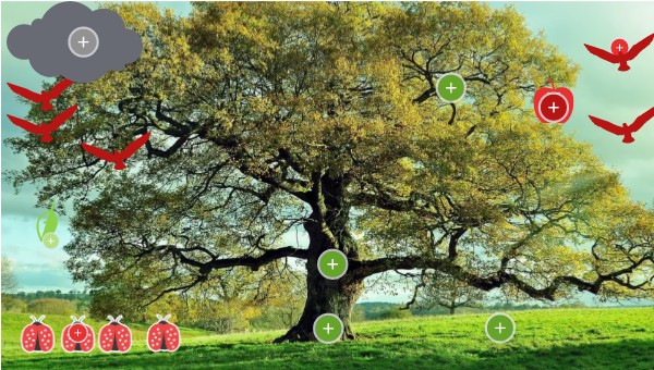 Proyecto de vida Elí Castañeda