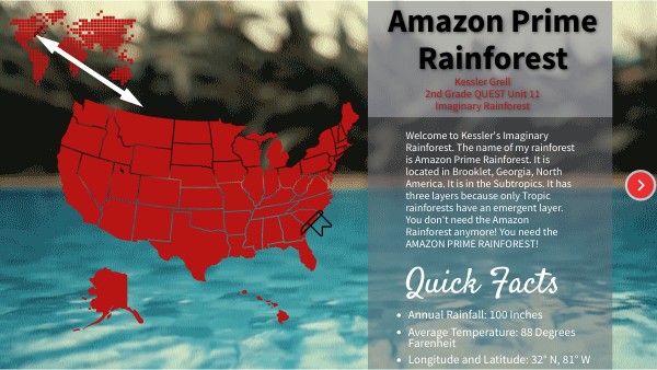 Kessler's Rainforest