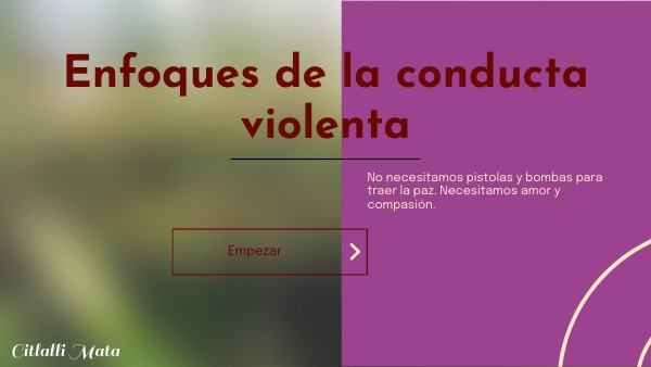 Enfoques de la conducta violenta