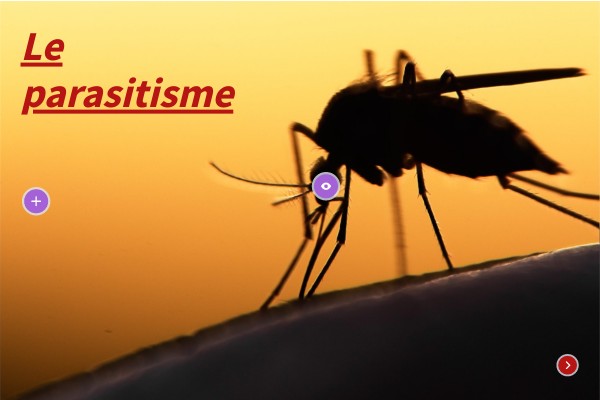le parasitisme