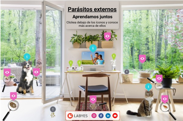 Parasitos externos: aprendamos juntos | Labyes | Genially