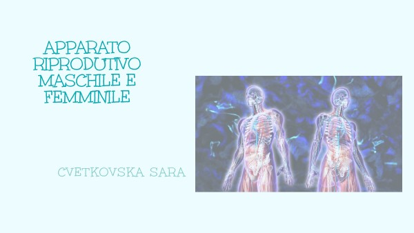 HUMAN BODY PRESENTATION | Genially