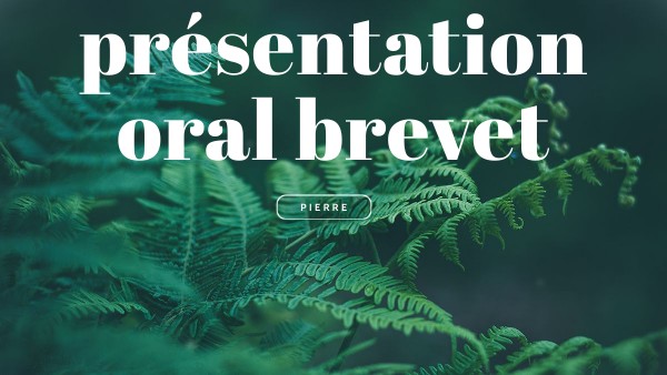 NATURE PRESENTATION
