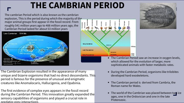 Mini research project | Genially