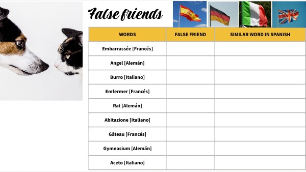 FALSE FRIENDS