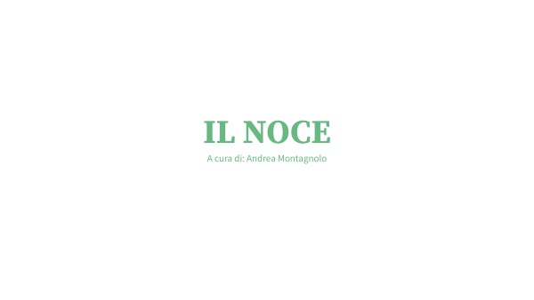 Il Noce