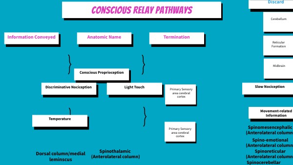 Chapter 11 | Genially