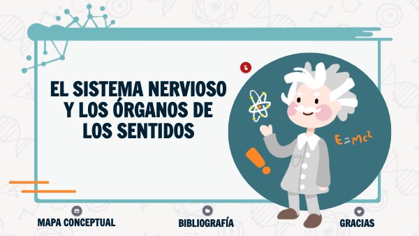 SISTEMA NERVIOSO Y SENTIDOS | Genially