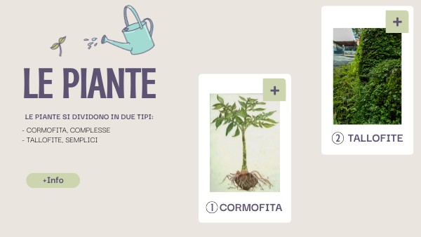 PLANT GROWTH STAGES | Genially