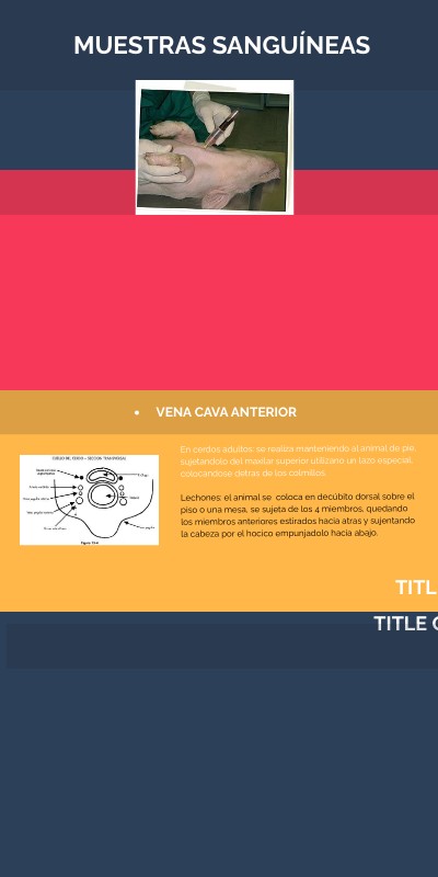 MULTICOLOR INFO | Genially