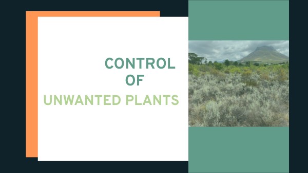 control of unwanted plants group 1