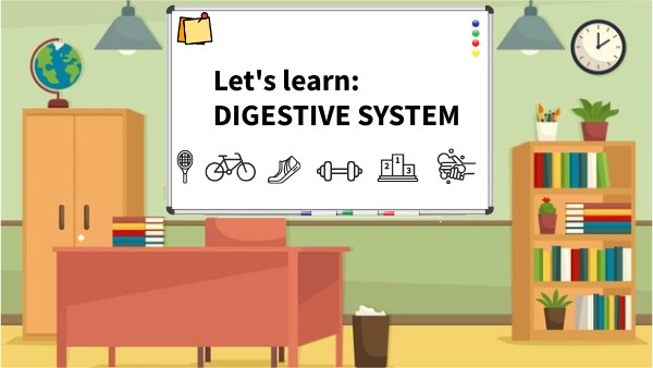 Digestive system