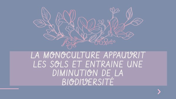 Présentation monoculture | Genially