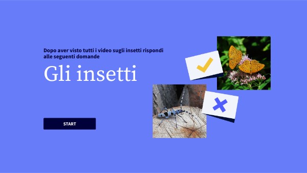 QUIZ INSETTI By Celeste Tardolini
