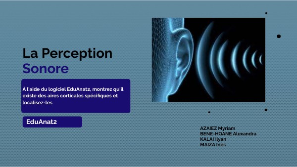 SCIENCE VIBRANT PRESENTATION | Genially