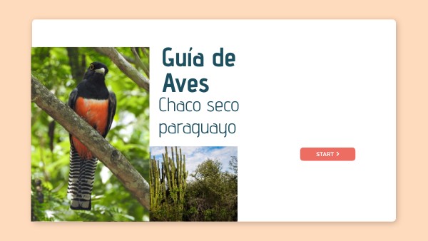 Aves del Chaco seco Paraguayo | Genially