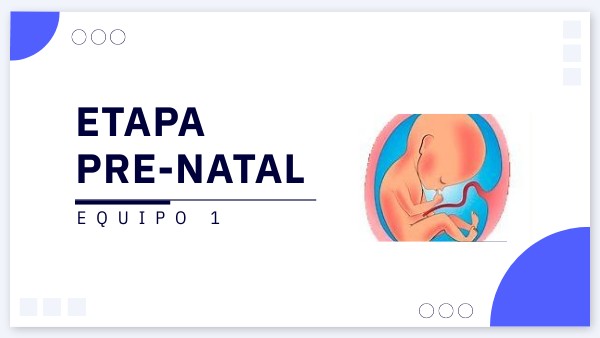 Etapa prenatal Equipo 1