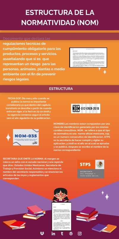 INFOGRAFIA ESTRUCTURA NOM | Genially