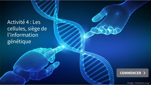 Les cellules et l'information génétique | Genially