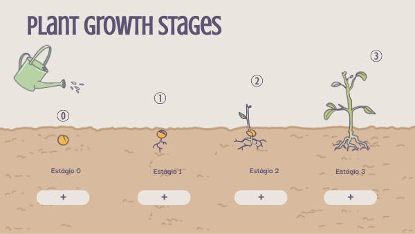 PLANT GROWTH STAGES | Genially