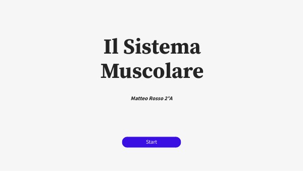 Il Sistema Muscolare | Genially