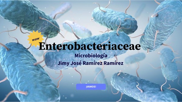 Enterobacterias | Genially