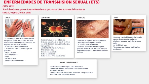 INFOGRAFIA ETS