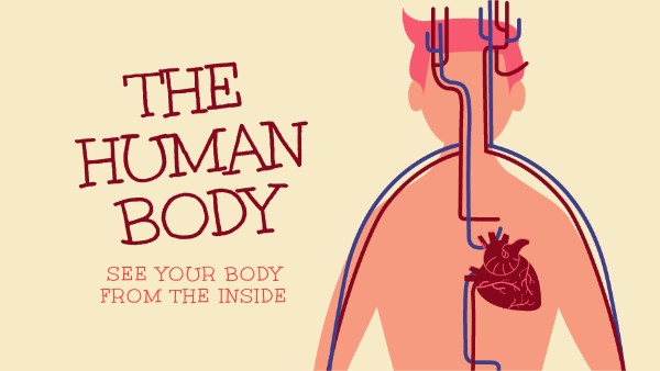 HUMAN BODY PRESENTATION | Genially