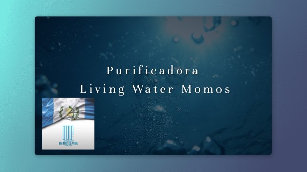 Living Water Momos