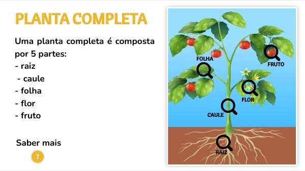 Planta completa