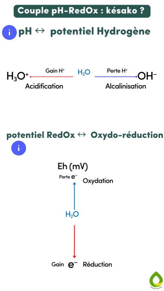 le Couple pH-RedOx