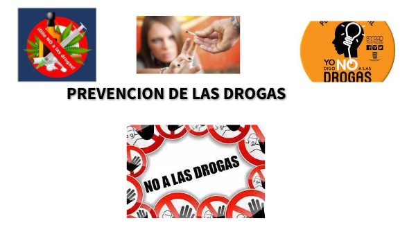 PROYECTO INFO