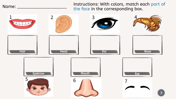 PARTS OF THE FACE AND BODY_DANIELA VIANEY AGUILLON COLIN_LI13_2