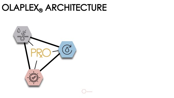 OLAPLEX Architecture