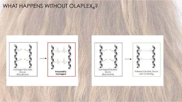 without OLAPLEX