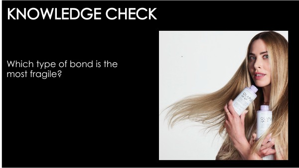 FRAGILE BOND - Knowledge check | Genially